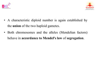 Chromosomal theory of inheritance | PPT