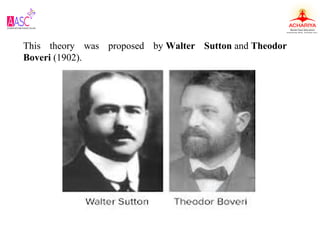 Chromosomal theory of inheritance | PPT