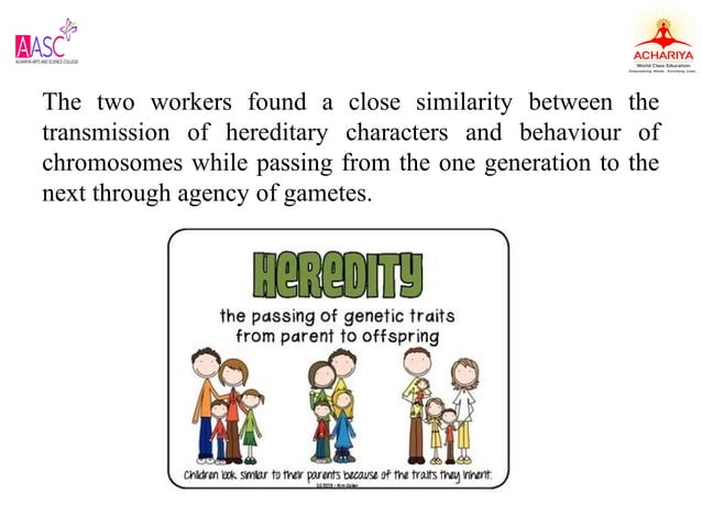 Chromosomal theory of inheritance | PPT | Genetics | Science