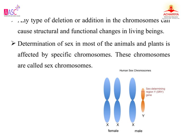 Chromosomal theory of inheritance | PPT | Genetics | Science