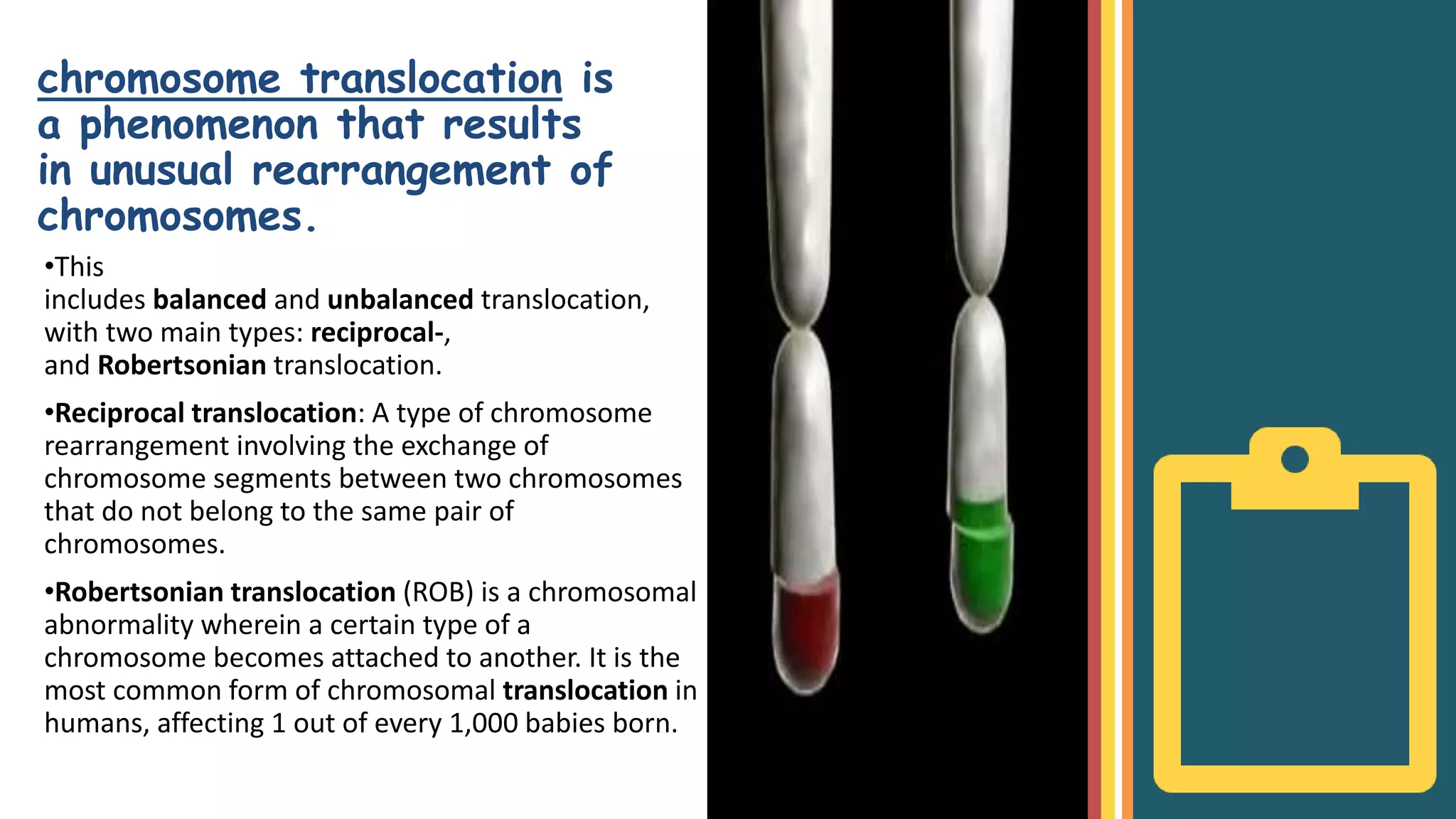 Chromosomal translocations effects gene expressions | PPTX