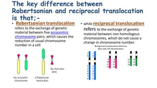 Chromosomal translocations effects gene expressions | PPTX