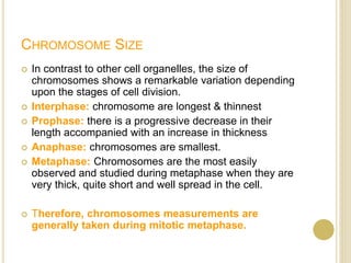 Chromosome | PPTX