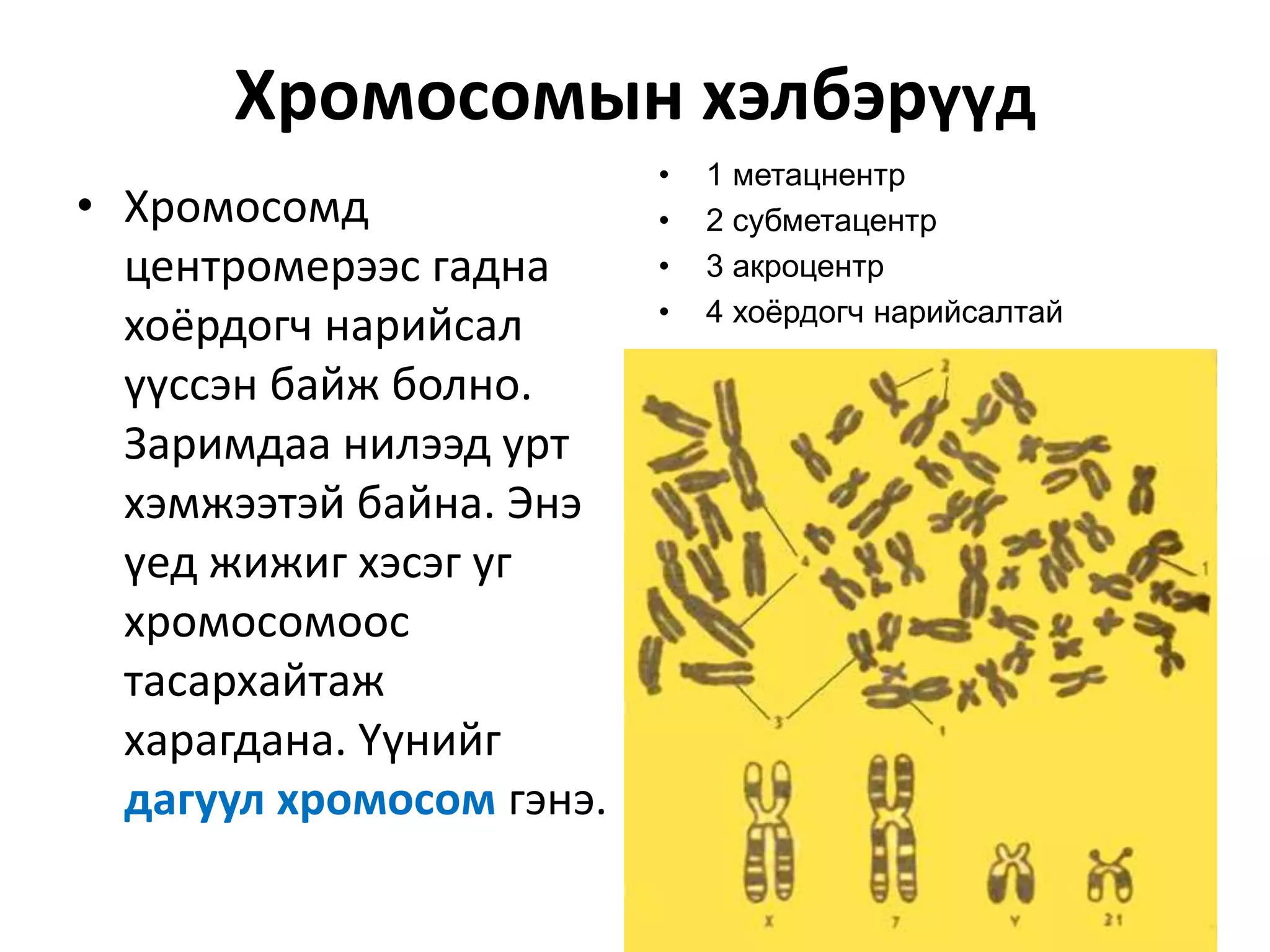 Chromosome | PPTX