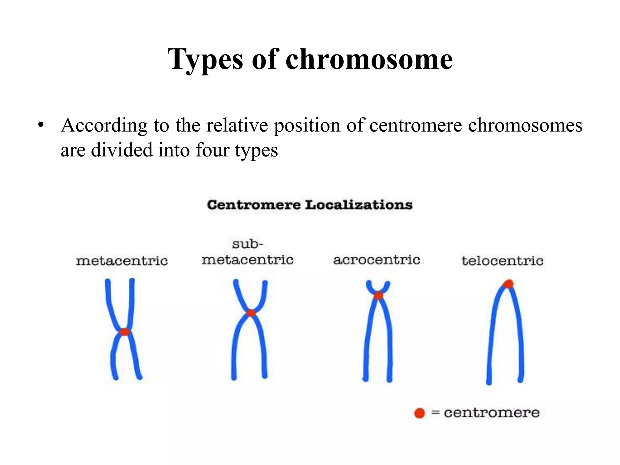 Chromosome | PPTX