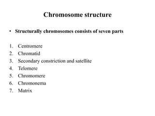 Chromosome | PPTX