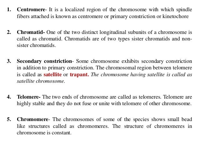 Chromosome