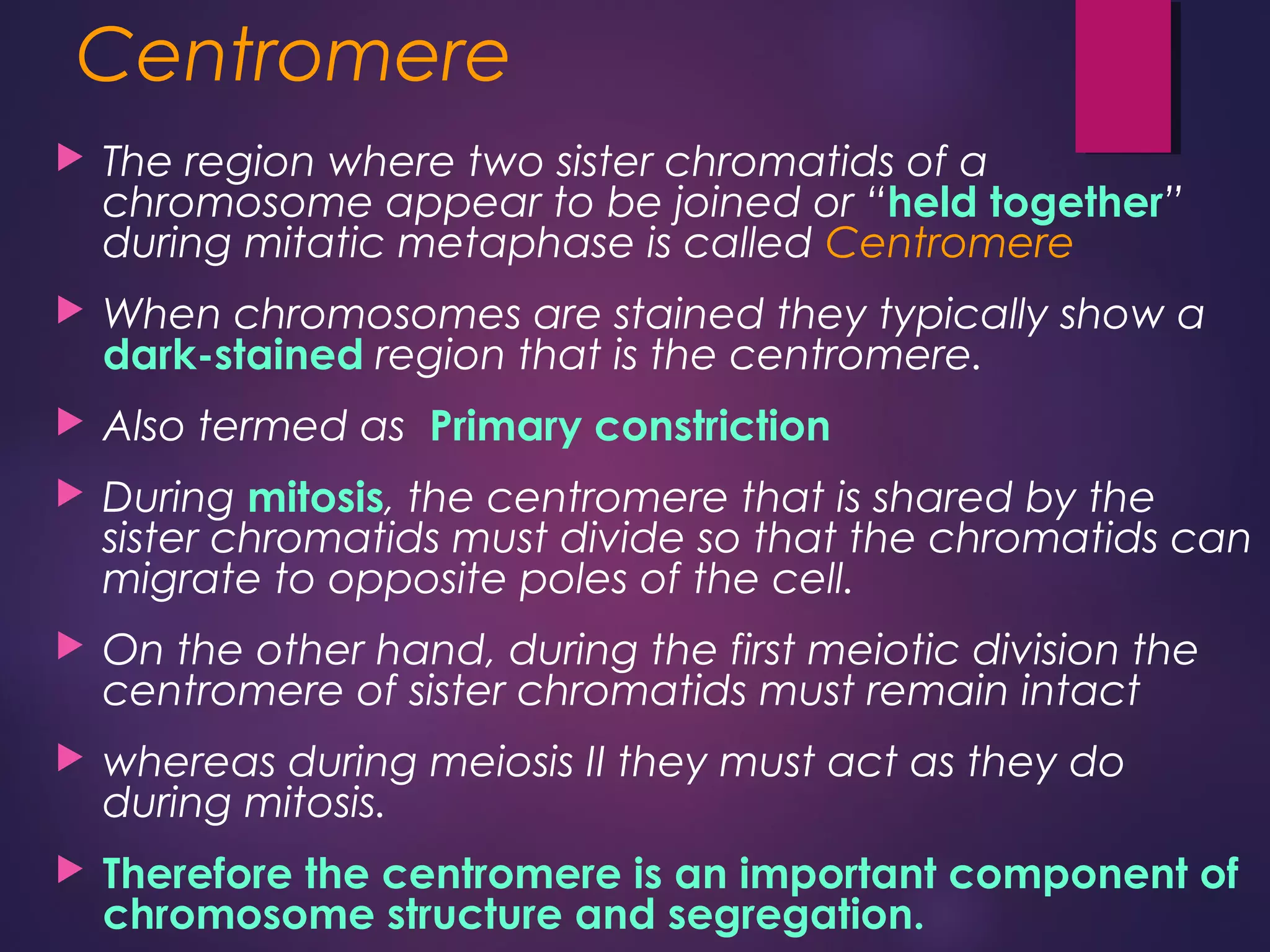 Chromosomes | PPT