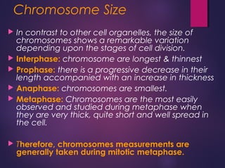 Chromosomes | PPT