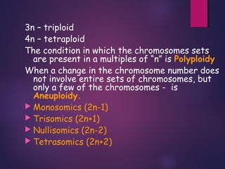 Chromosomes | PPT