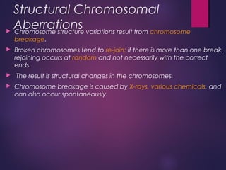 Chromosomes | PPT