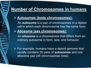 Chromosomal aberrations | PPTX