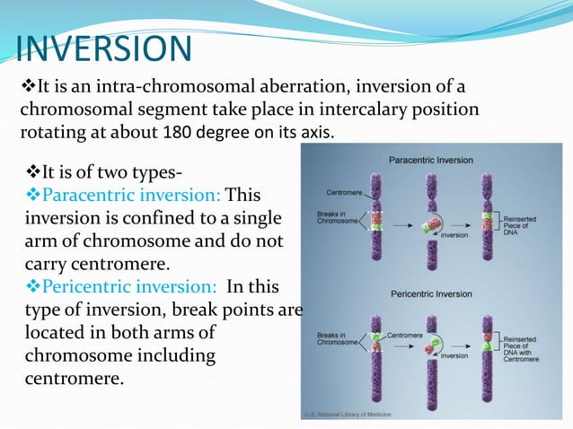 Structural chromosomal aberration | PPTX