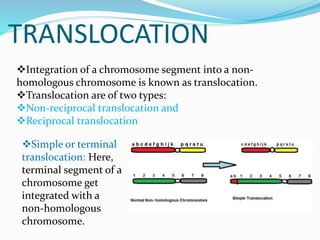 Structural chromosomal aberration | PPTX