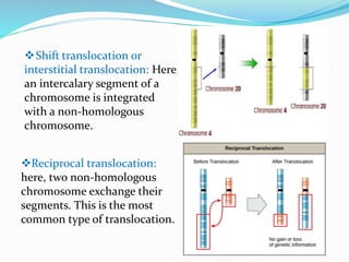 Structural chromosomal aberration | PPTX