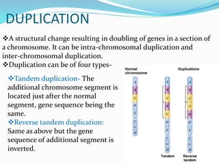 Structural chromosomal aberration | PPTX