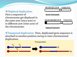 Structural chromosomal aberration | PPT