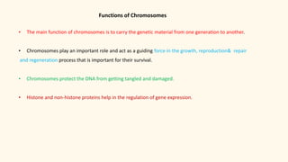 Chromosome | PPTX