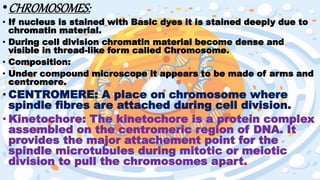 Chromosome and Prokaryotic Vs Eukaryotic Cell | PPTX