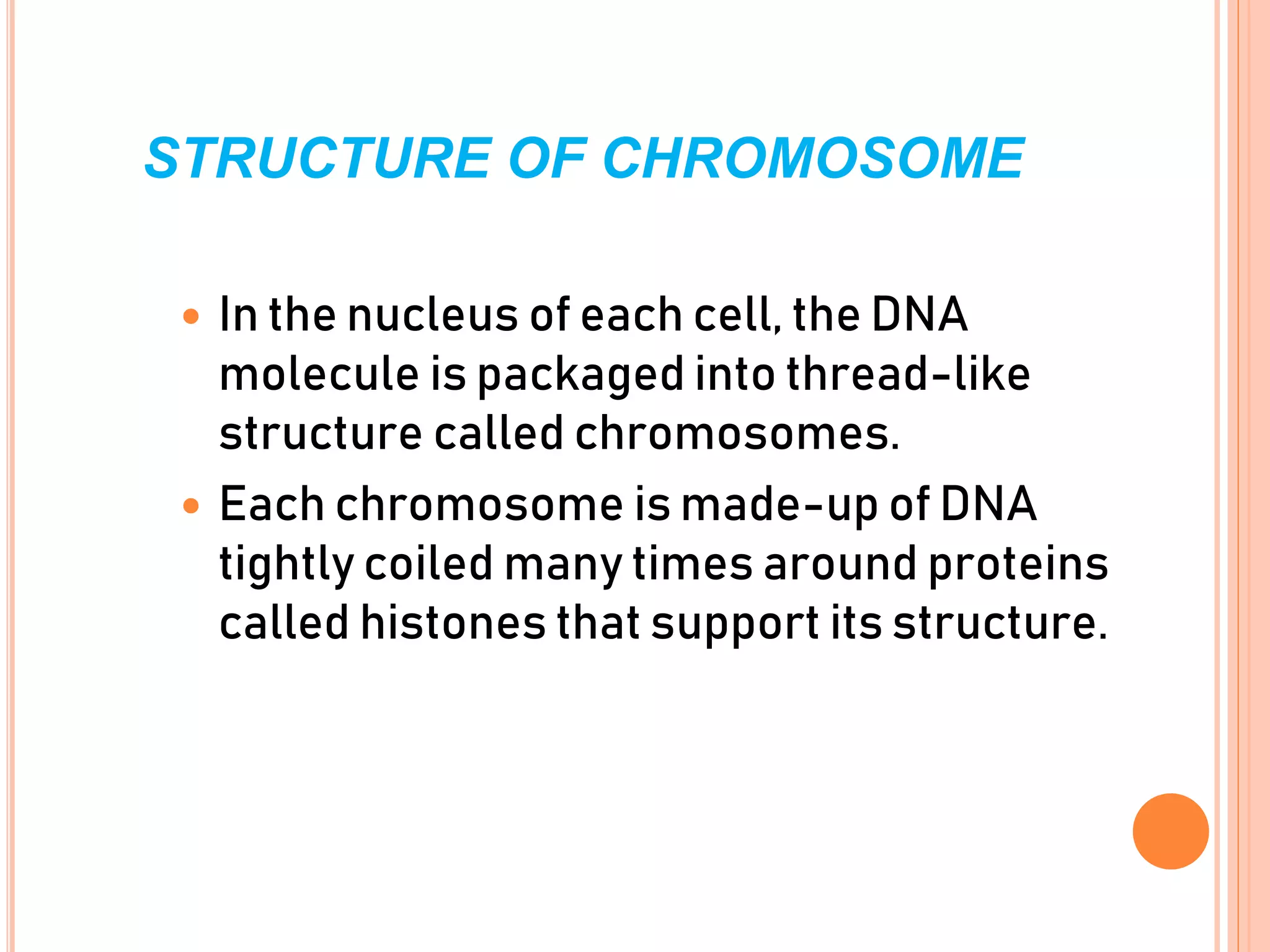 Chromosome//structue of chromosome | PPTX | Genetics | Science