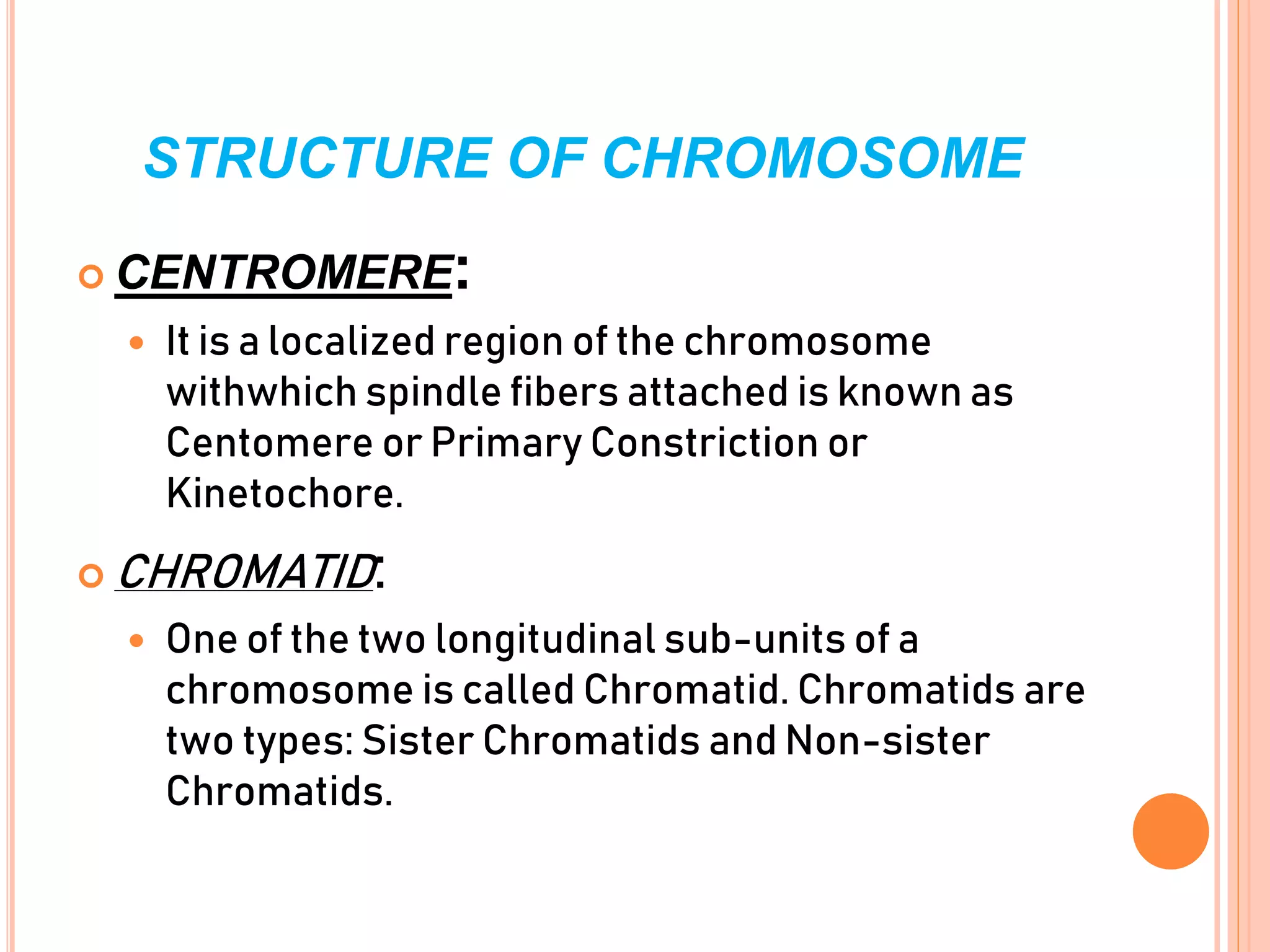 Chromosome//structue of chromosome | PPTX