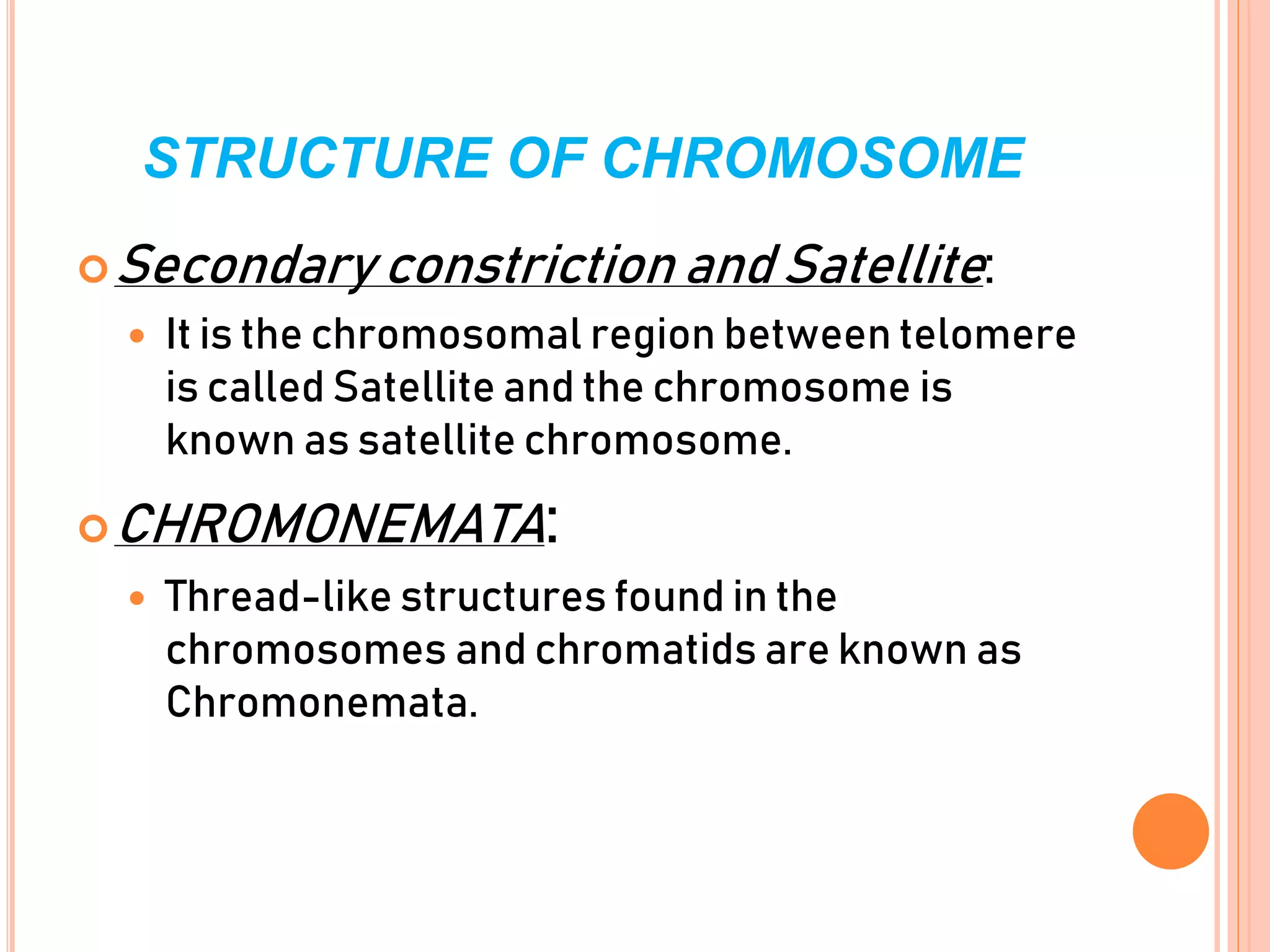 Chromosome//structue of chromosome | PPTX