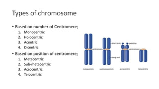 Chromosome.pptx