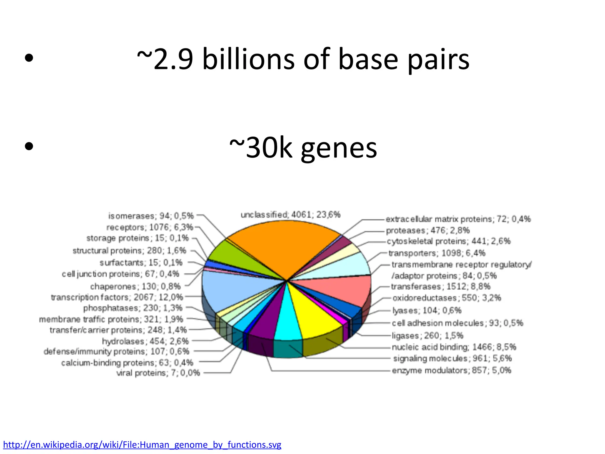 CHROMOSOME.pdf cell division DNA cancers | PPT