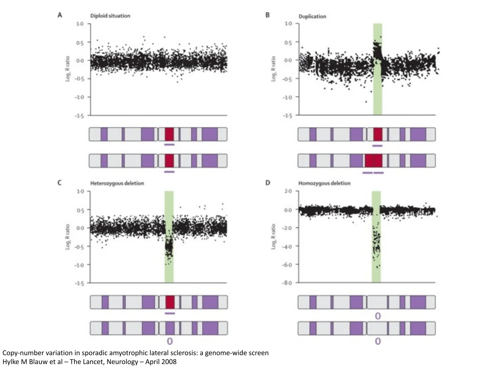 CHROMOSOME.pdf cell division DNA cancers | PPT