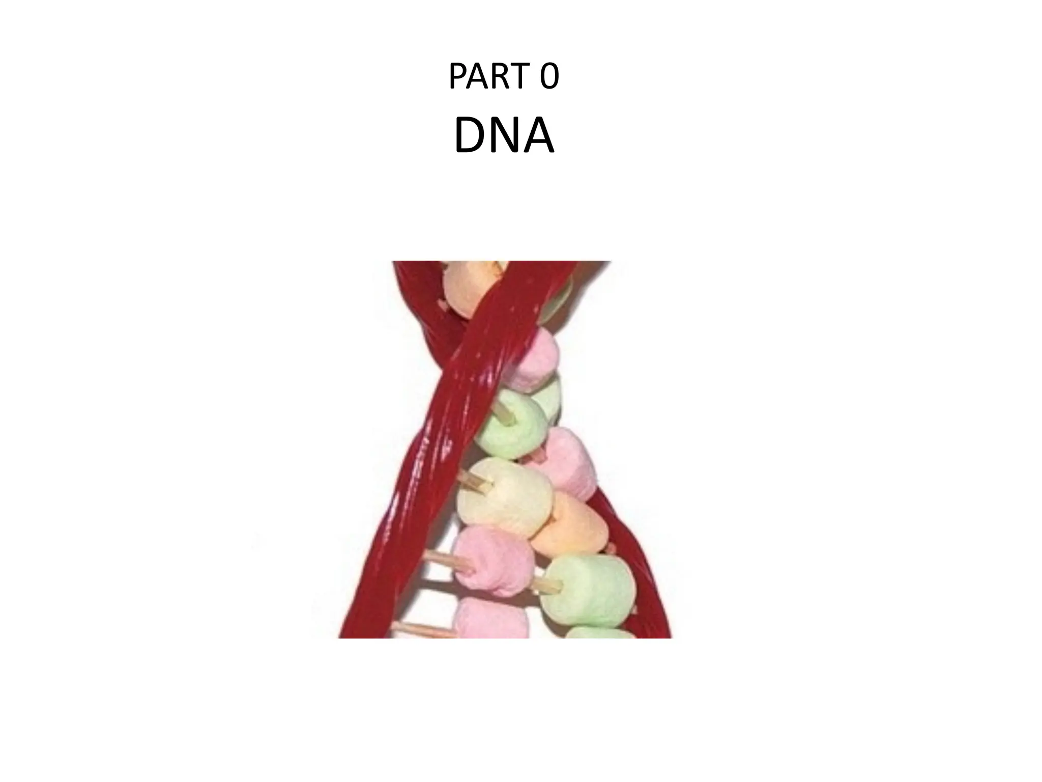 CHROMOSOME.pdf cell division DNA cancers | PPT
