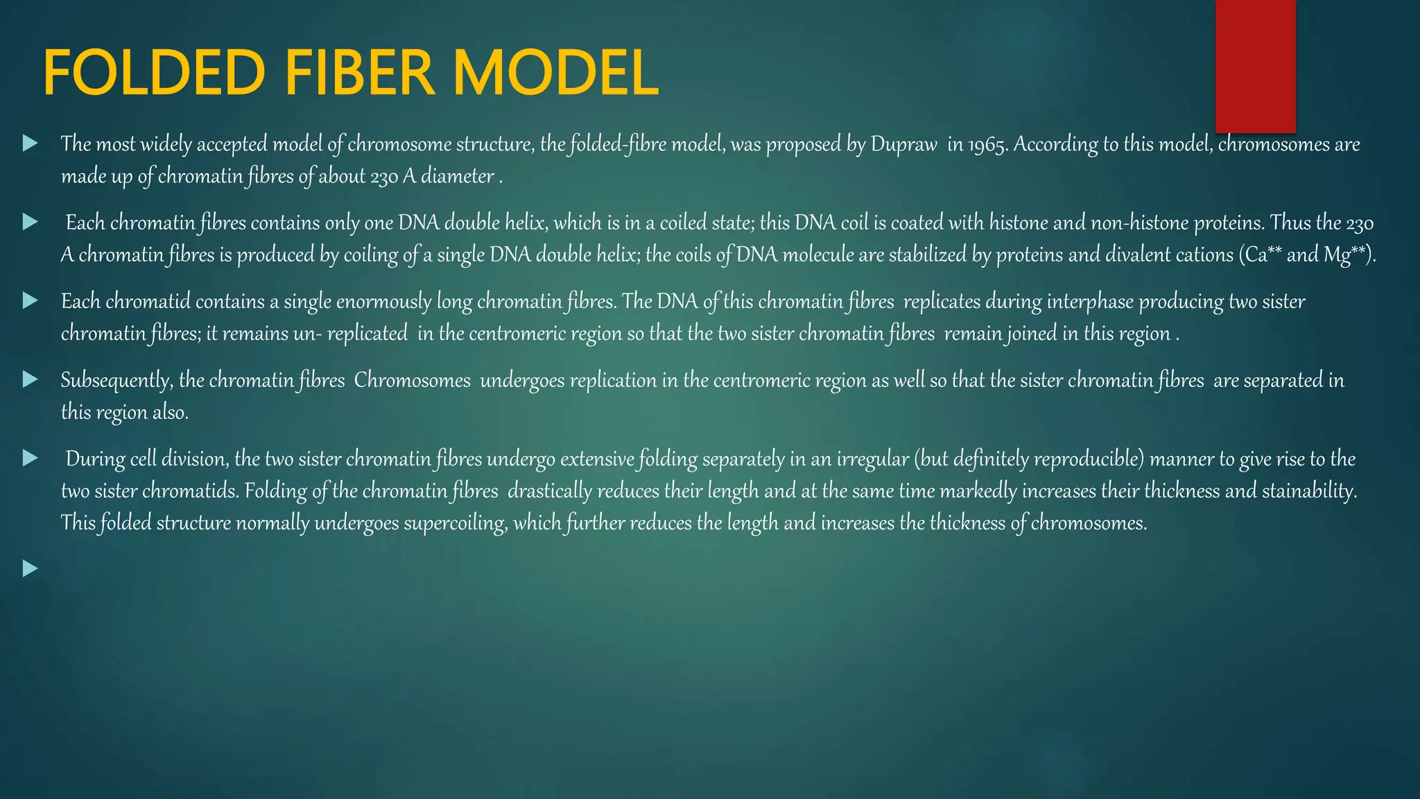 presentation on chromosome morphology and karyotype | PPTX