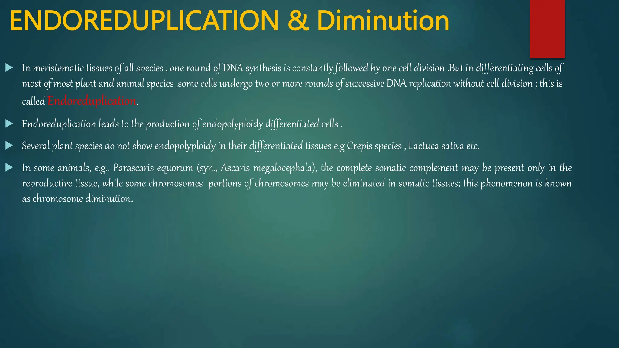 presentation on chromosome morphology and karyotype | PPTX