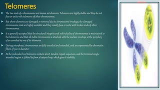 presentation on chromosome morphology and karyotype | PPTX