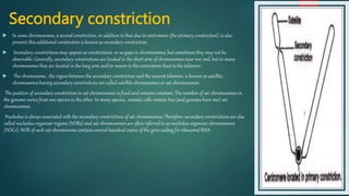 presentation on chromosome morphology and karyotype | PPTX