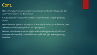 presentation on chromosome morphology and karyotype | PPTX