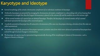 presentation on chromosome morphology and karyotype | PPTX