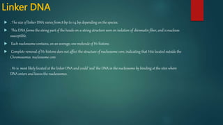 presentation on chromosome morphology and karyotype | PPTX