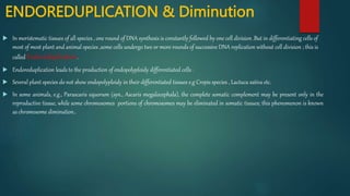 presentation on chromosome morphology and karyotype | PPTX