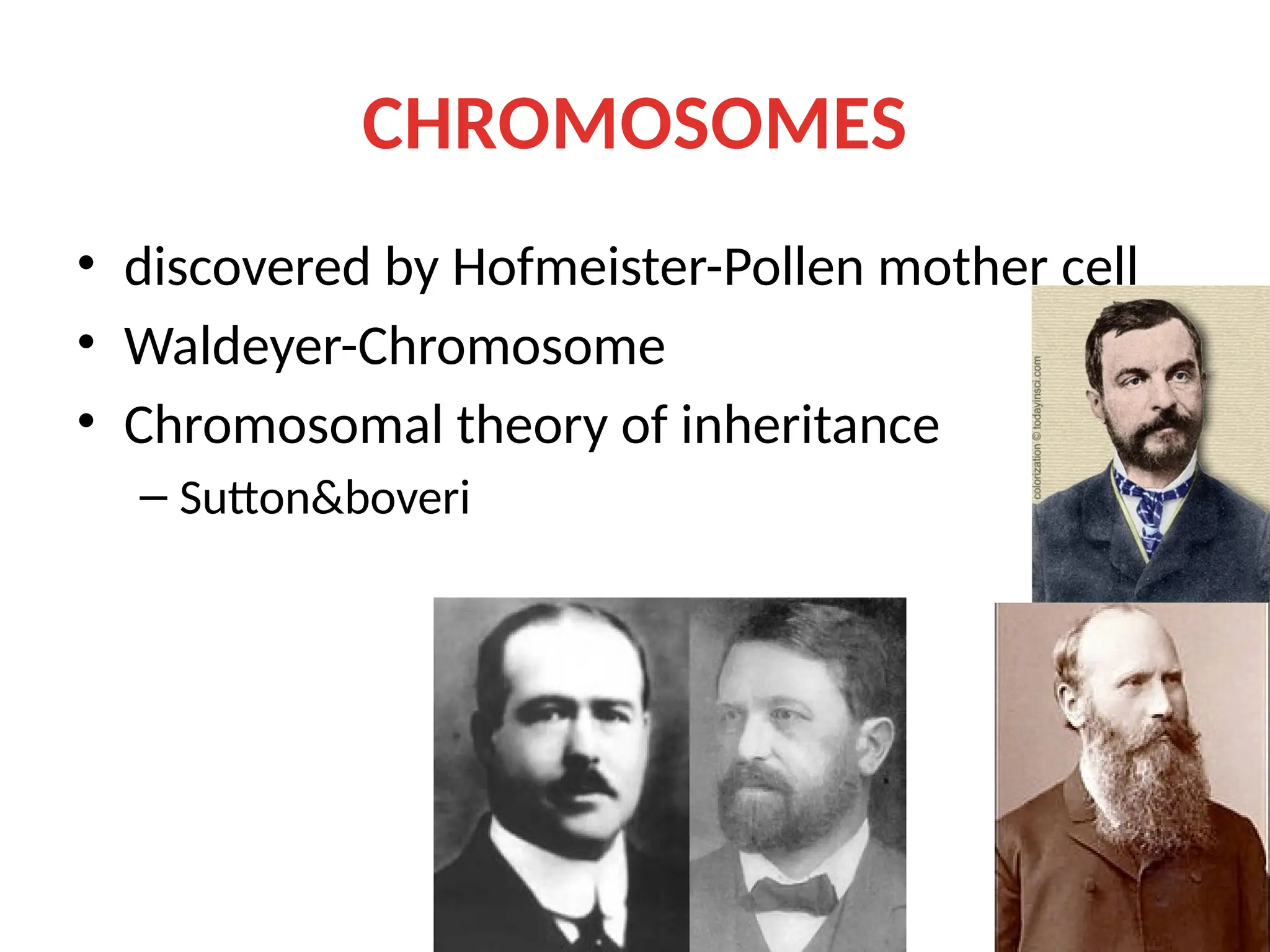 Structure Types And Functions Of Chromosomes Pptx