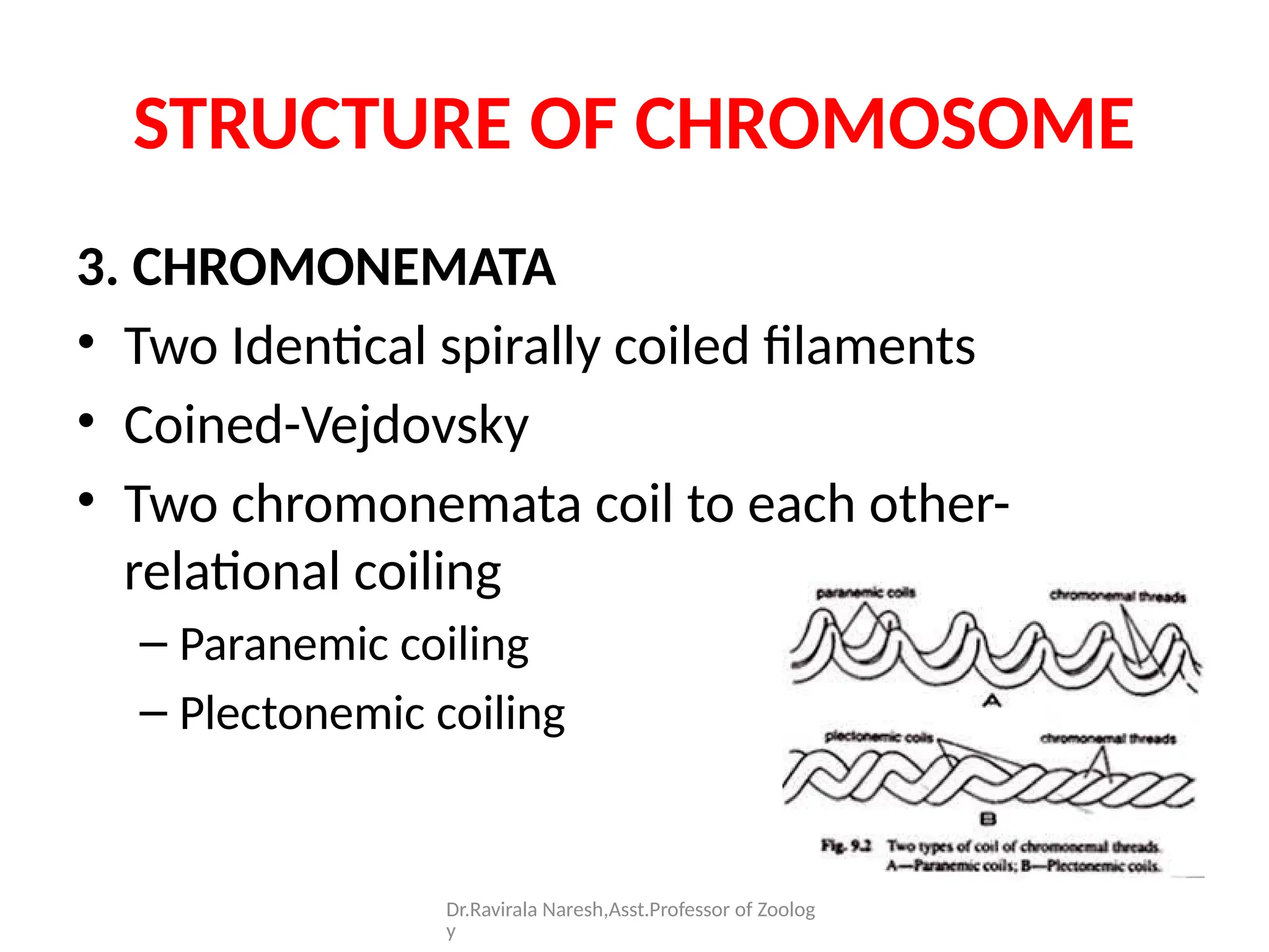 STRUCTURE ,TYPES AND FUNCTIONS OF CHROMOSOMES | PPTX