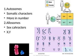 STRUCTURE ,TYPES AND FUNCTIONS OF CHROMOSOMES | PPTX