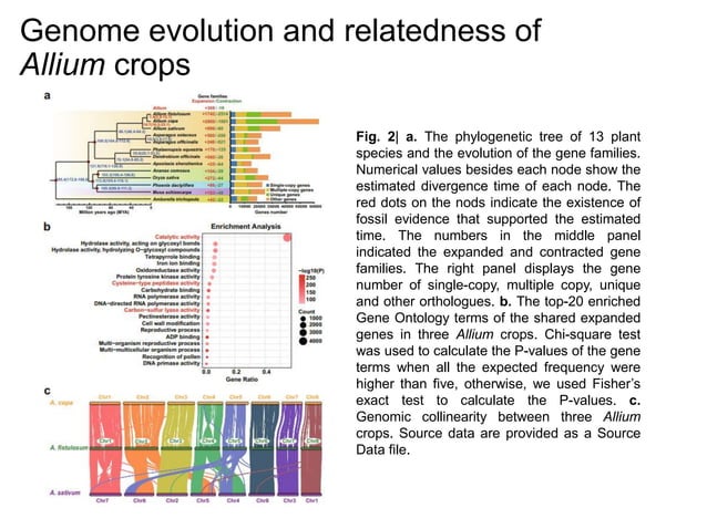 Chromosome-level genome assembly_221220.pptx