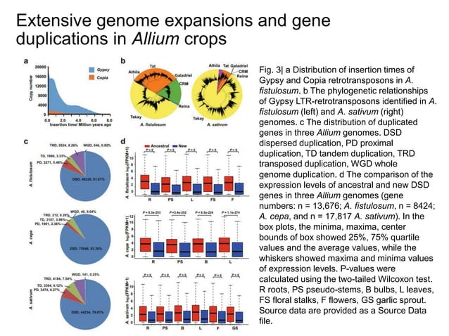 Chromosome Level Genome Assembly 221220 Pptx