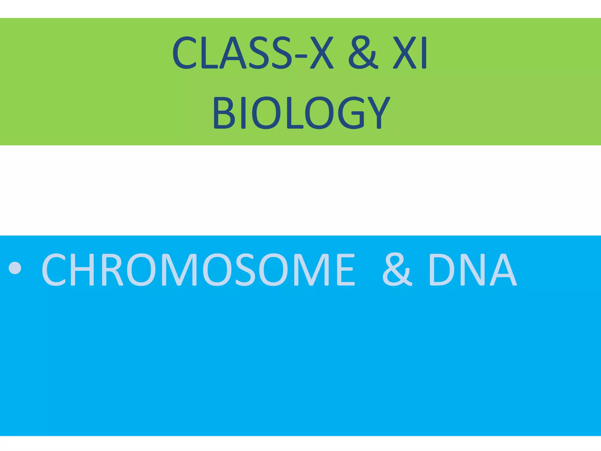 Chromosome ppt | PPT