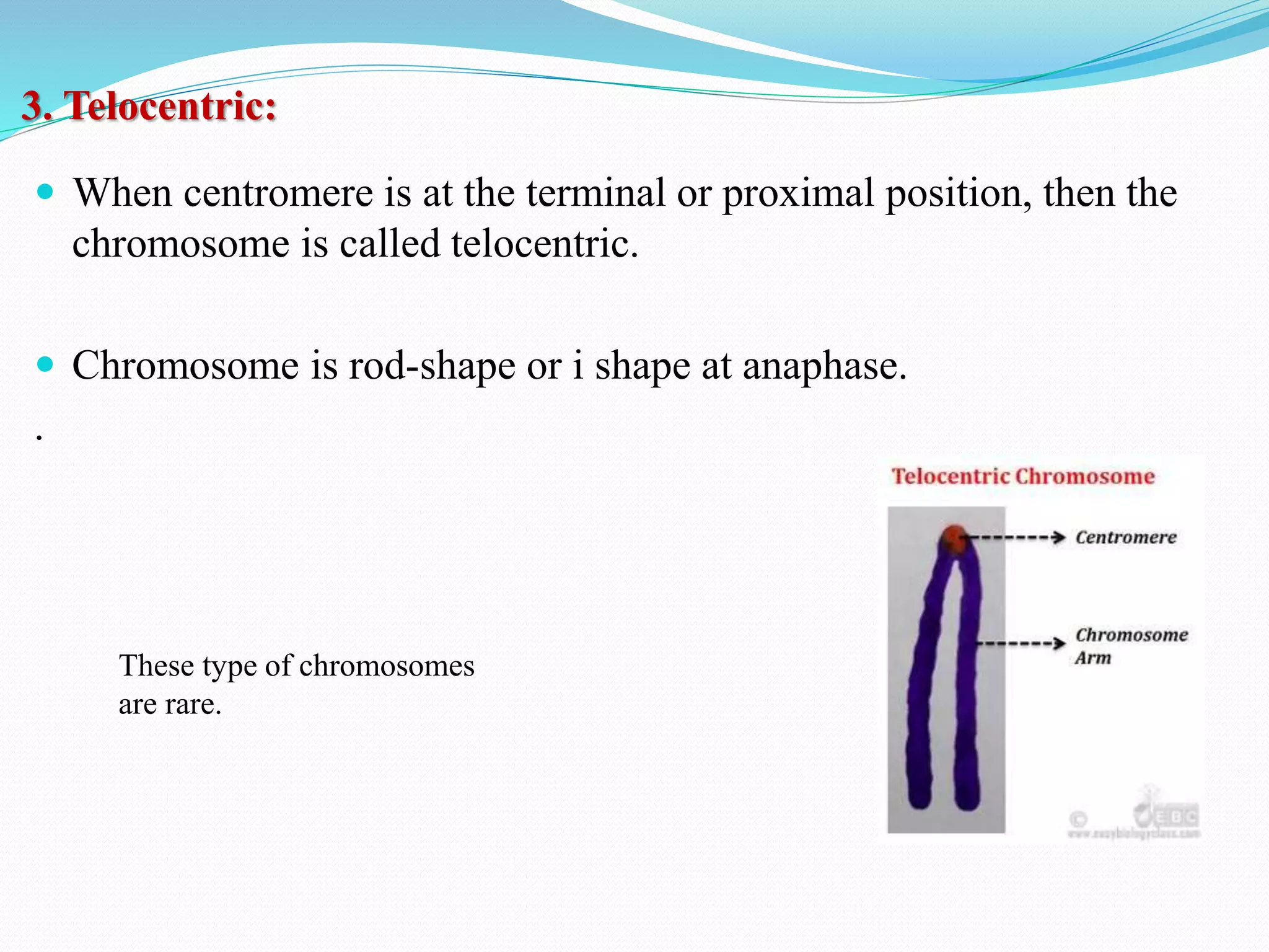 Structural organization of Chromosome | PPTX