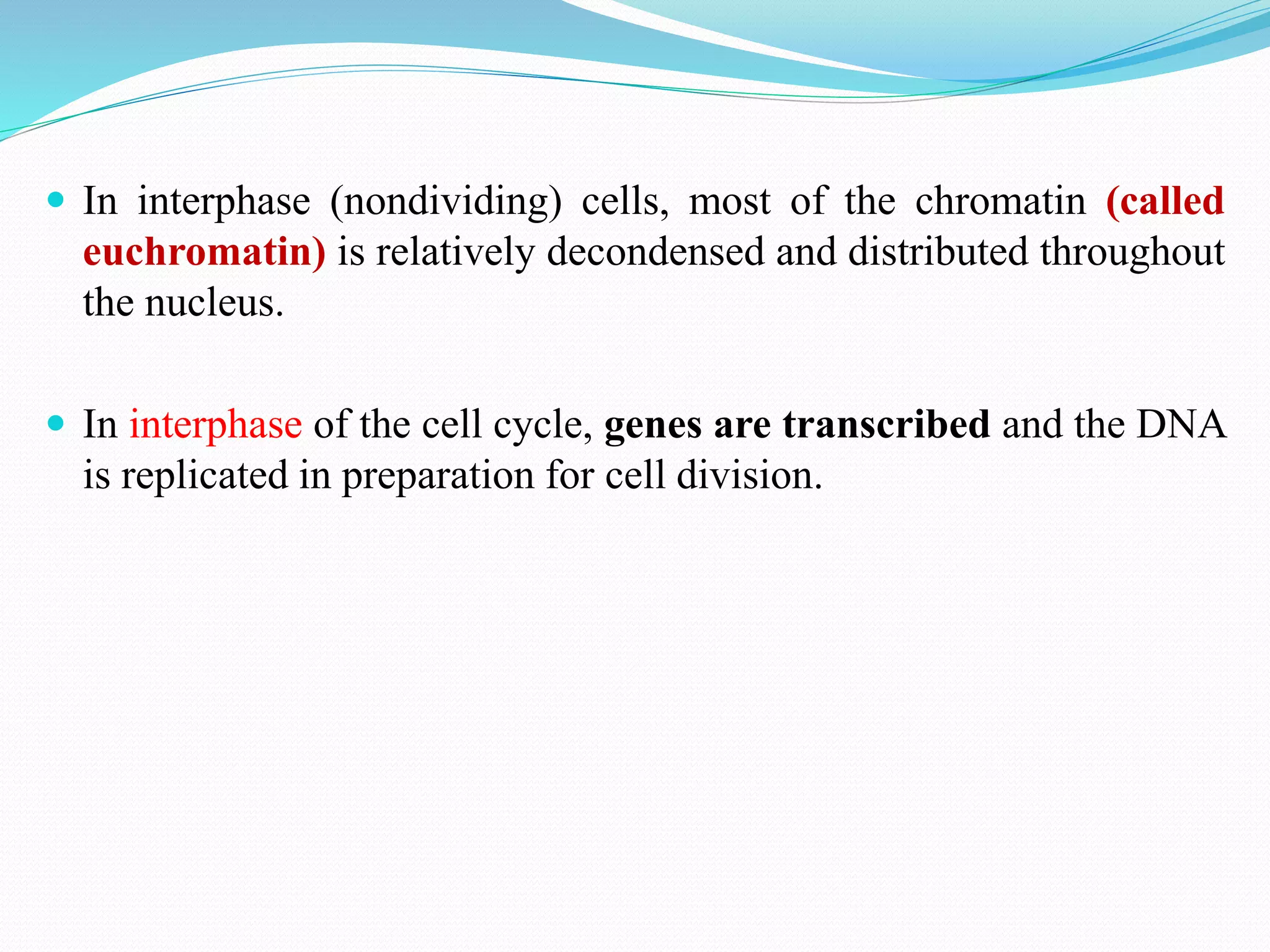 Structural organization of Chromosome | PPTX