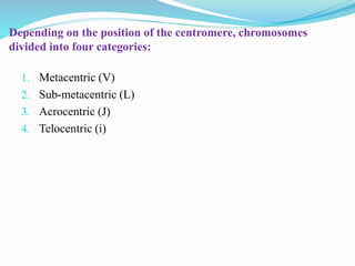 Structural organization of Chromosome | PPTX