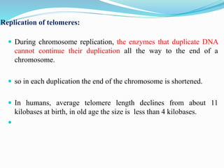 Structural organization of Chromosome | PPTX