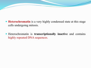 Structural organization of Chromosome | PPTX