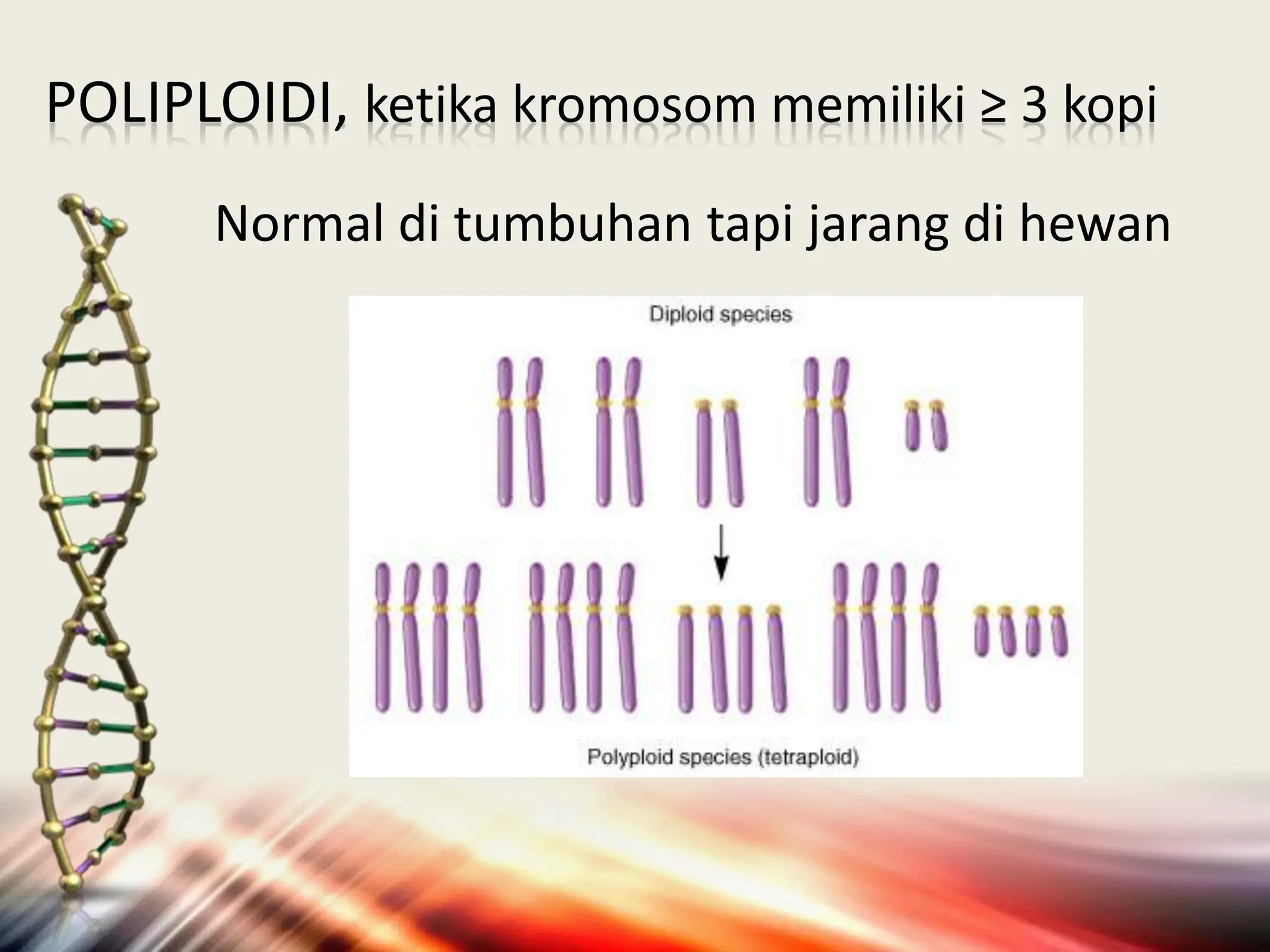 Perubahan keaadaan dalam kromosom normal pada sel | PPTX